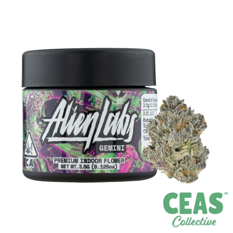 Gemini 3.5g - Alien Labs – CEAS
