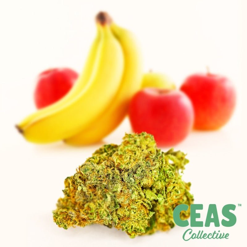 Apples & Bananas Strain – CEAS