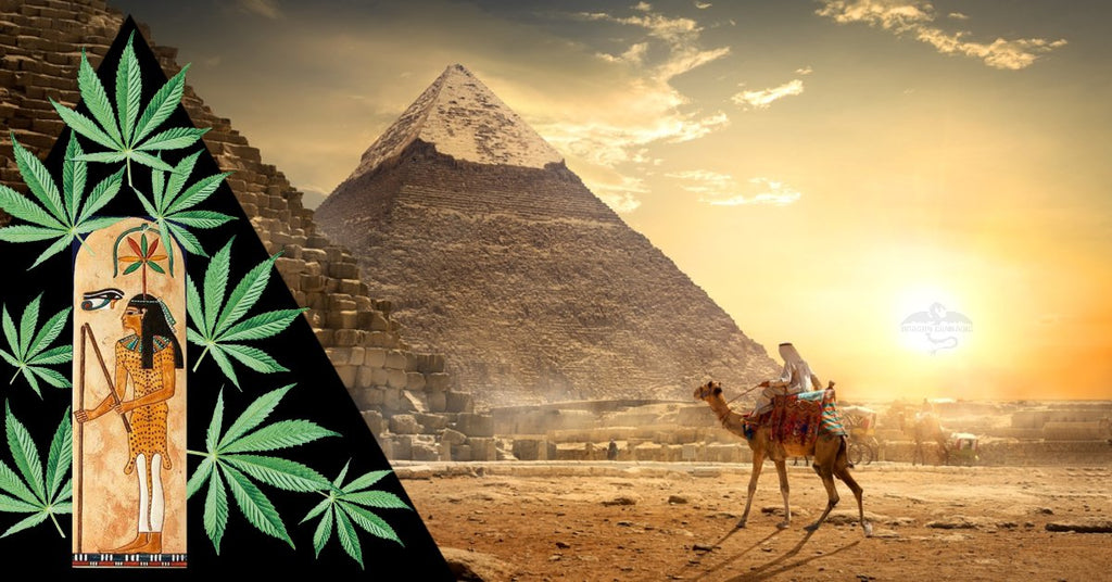 The Role of Cannabis in Ancient Egyptian Society: History and Uses – CEAS