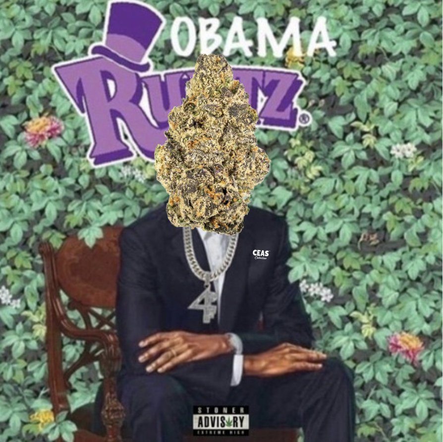 Obama Runtz: A Sweet, Relaxing Cannabis Strain – CEAS