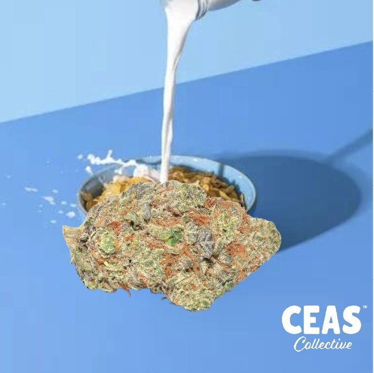 Savor the Nostalgia: Cereal Milk Reinvented by CEAS Exotics