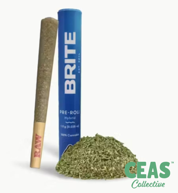 🖊️💨 Permanent Marker 1g Pre-Roll – Brite Labs | Hybrid | CEAS