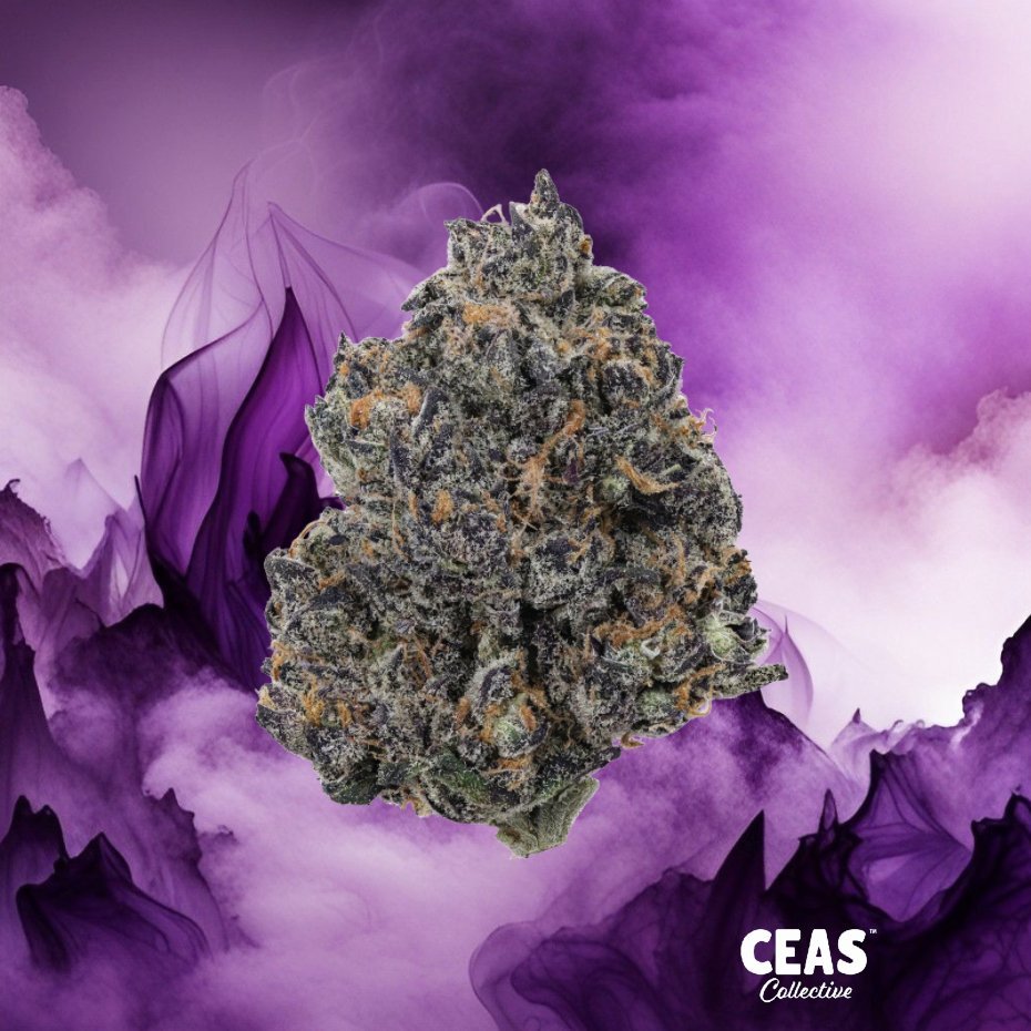 Purple Haze Strain Delivery in San Francisco Bay Area - CEAS Collective