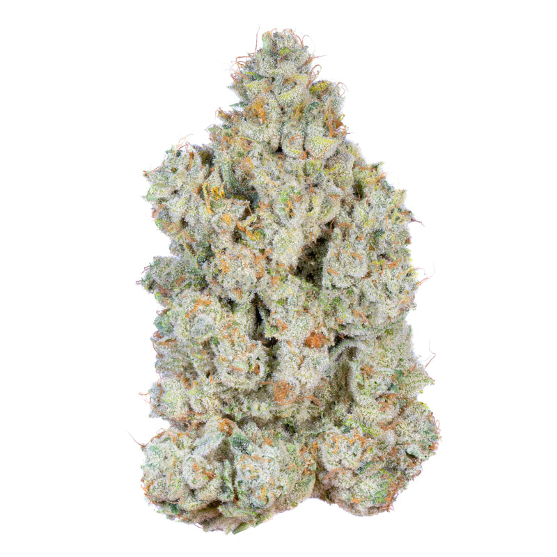 Agent X 14g - Alien Labs – CEAS