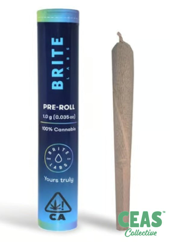 Gush Mints 1g Pre Roll - Brite Labs – CEAS