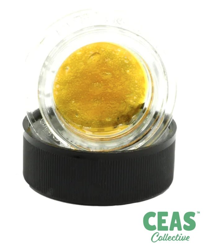 Kryptochronic - Sauce Alien Labs – CEAS